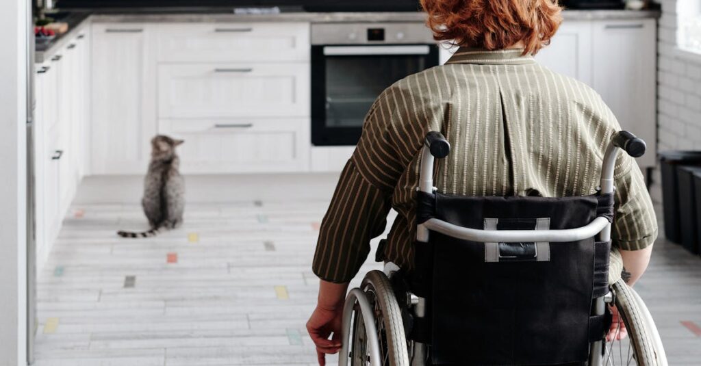 Understanding the Americans with Disabilities Act (ADA): A ...